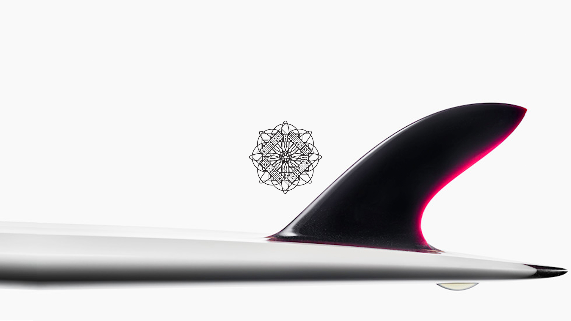 Cooperfish Surfboards – Last Wave Originals