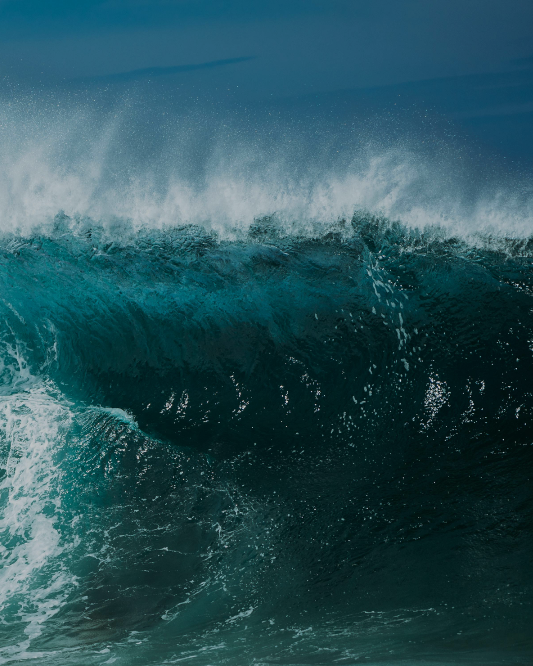 Last Wave Originals - Classic Surf Apparel